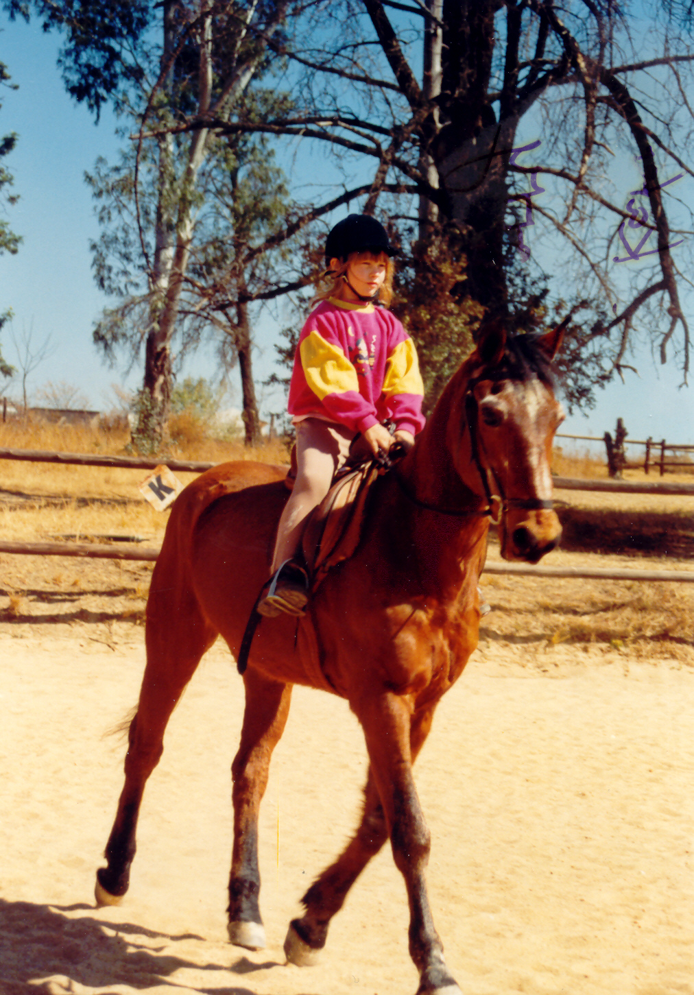 Über mich – Training Equus